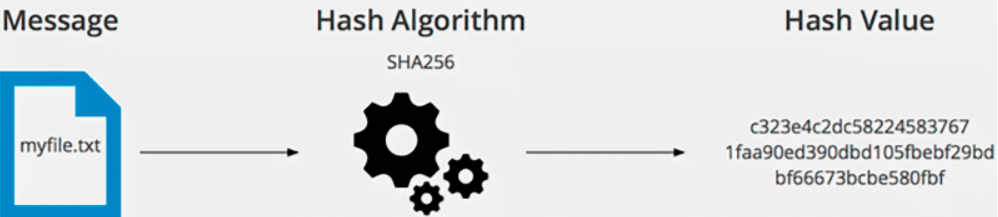 Danh sách tiền điện tử khai thác theo thuật toán SHA256, bao gồm ...